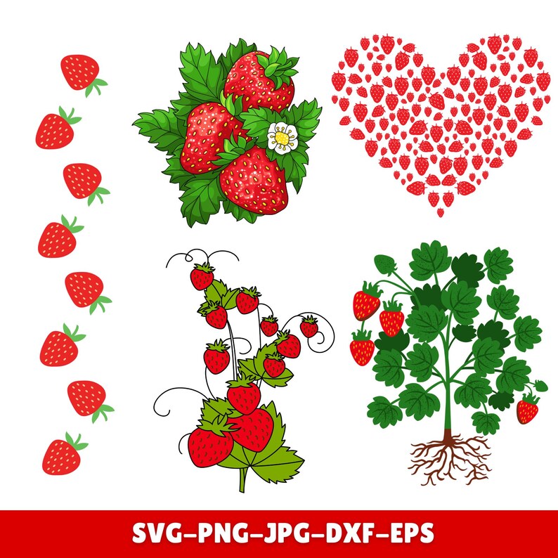 Strawberry Svg Bundle, Strawberry Svg, Strawberry Png, Strawberry ...