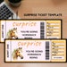 Printable Horse Riding Surprise Ticket, Horseback Riding Ticket, Ticket ...