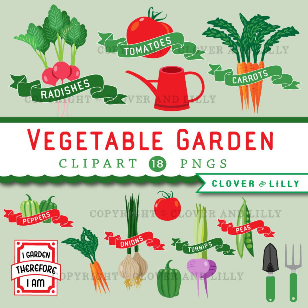 Vegetable Garden Clipart 18 Pngs, Tomatoes, Onions, Carrots, Turnips ...
