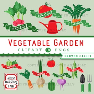 Vegetable Garden Clipart 18 Pngs, Tomatoes, Onions, Carrots, Turnips ...