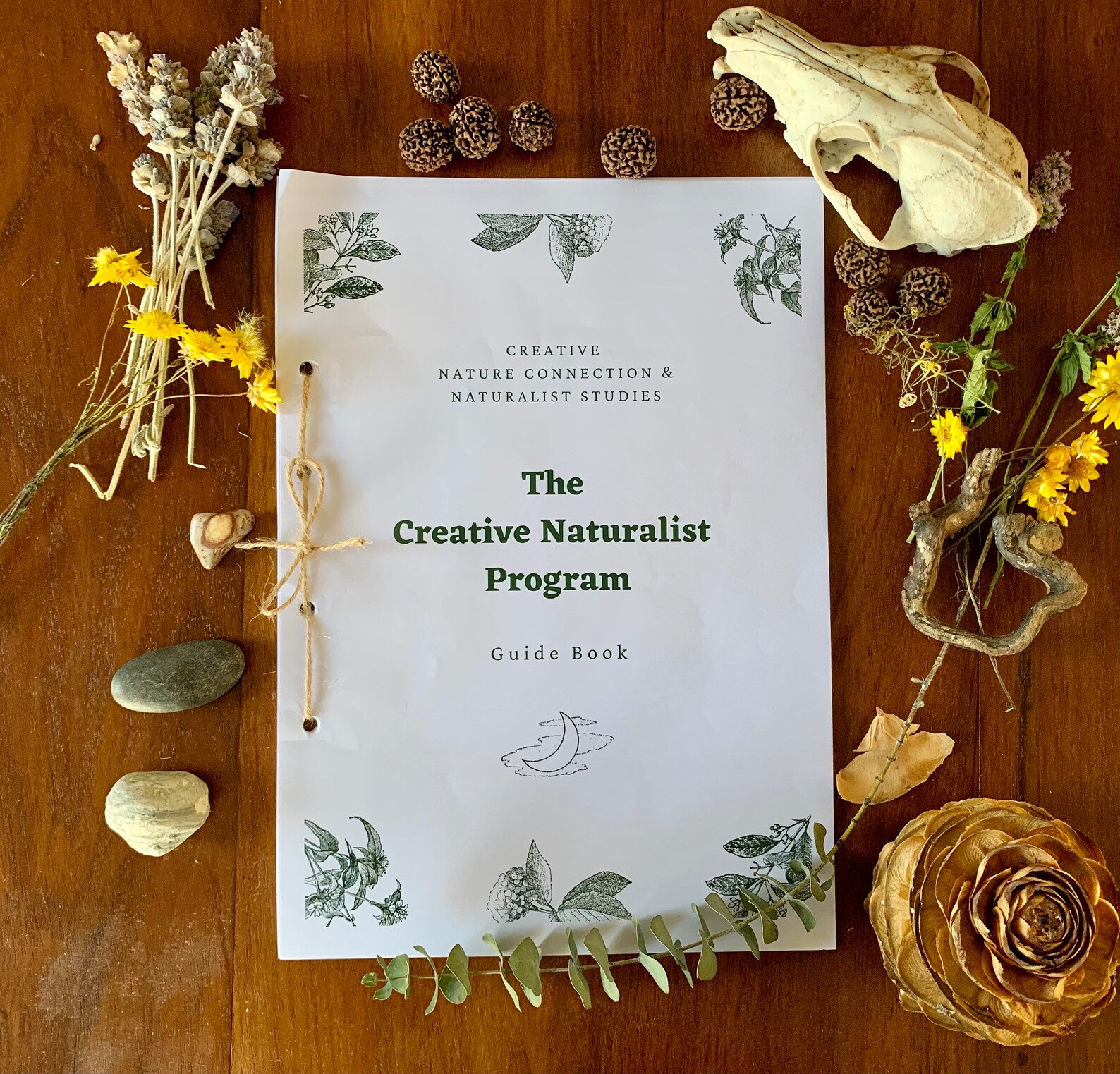 The Creative Naturalist Nature Journaling Guide BOOK 2/8 'look to the ...