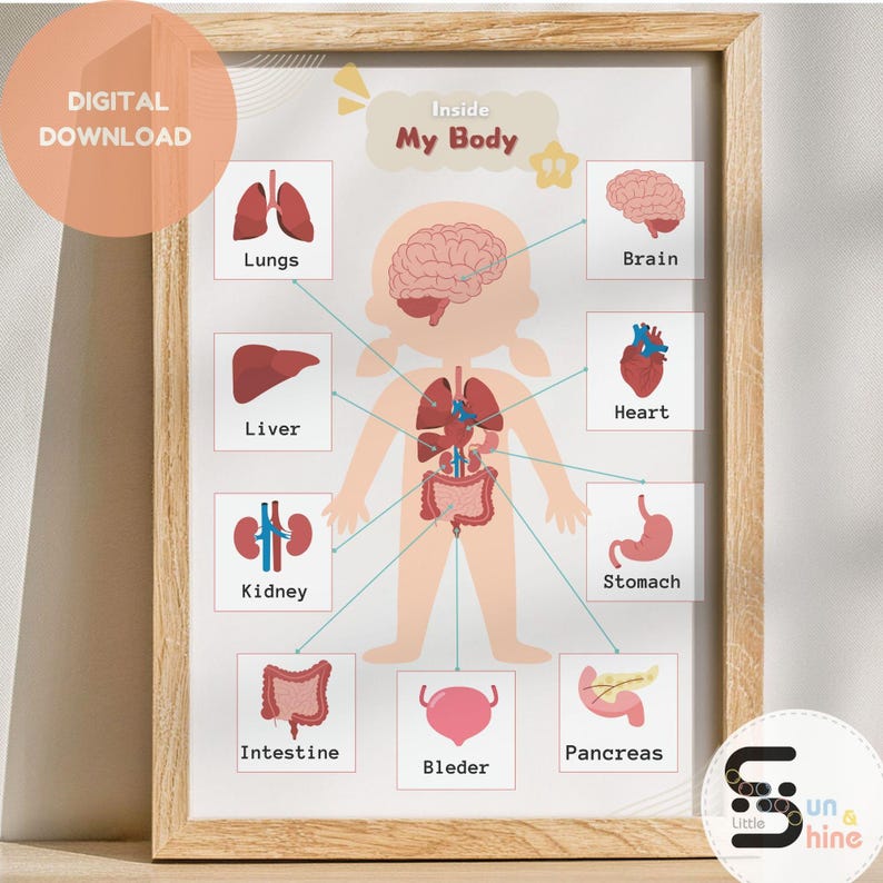 Body Parts Poster, Anatomy for Kids Worksheet, Kids Wall Decor, My Body ...