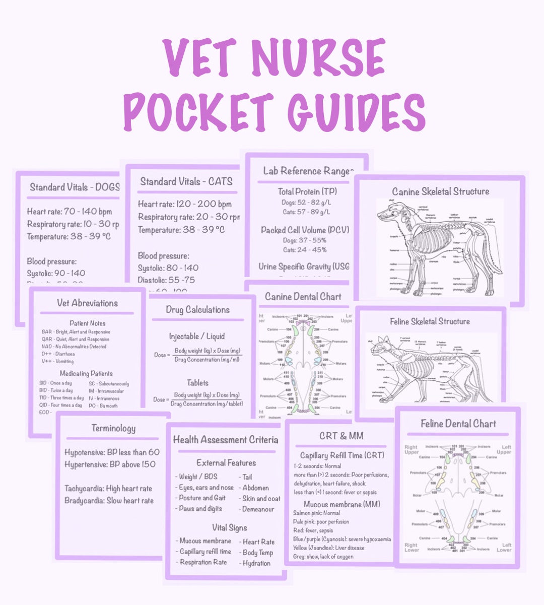 Vet Nurse Pocket Cards / Guides DIGITAL DOWNLOAD - Etsy