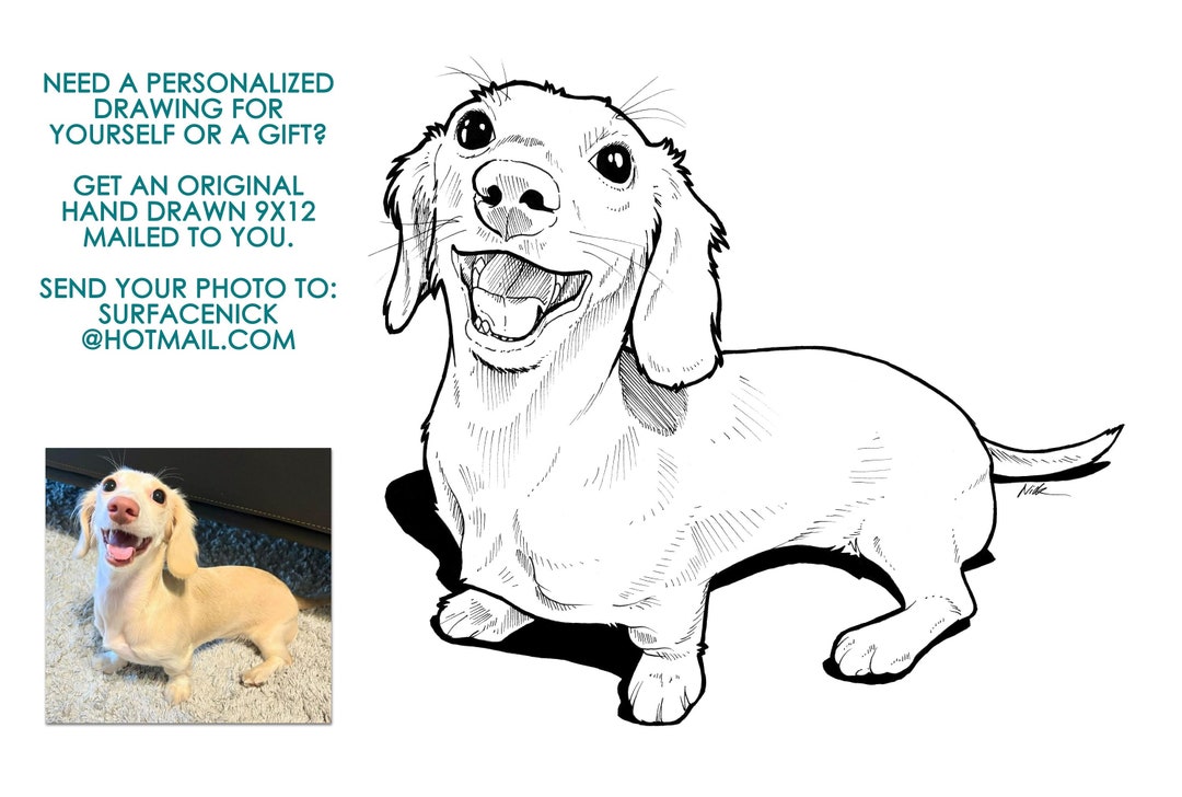 Get a Personalized Drawing of Your Pet - Etsy