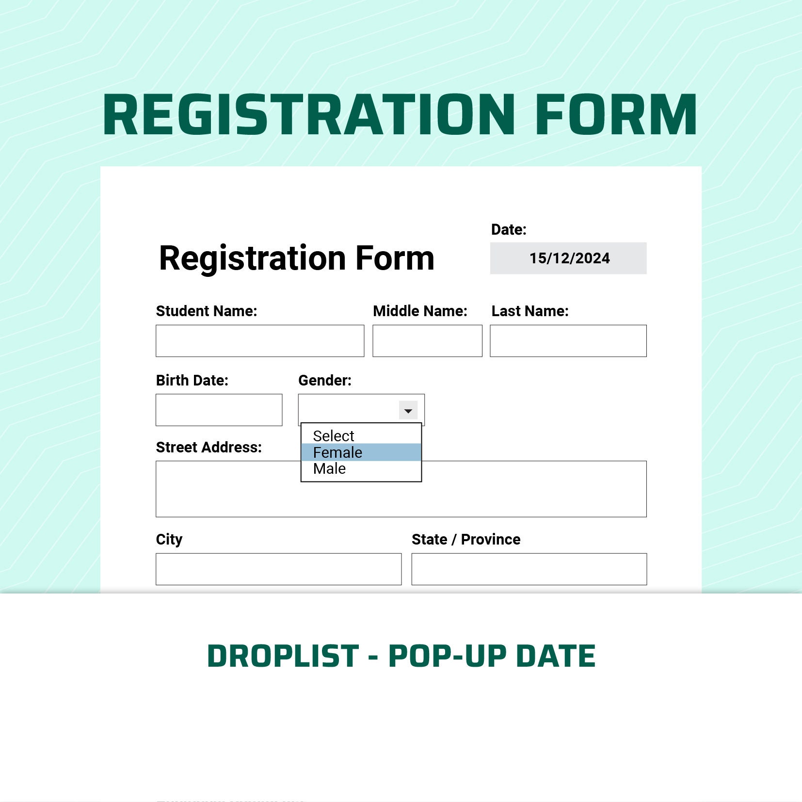 Basic Registration Form With Droplist Fillable PDF - Etsy