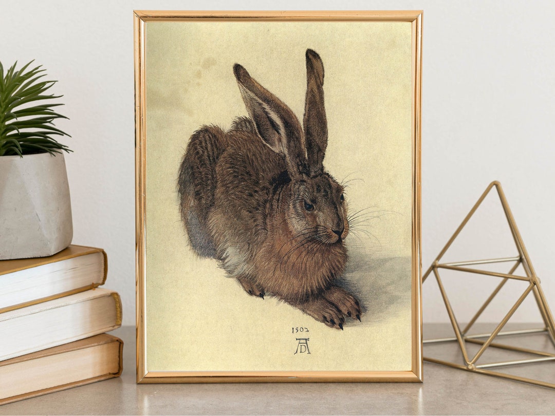 Young Hare by Albrecht Durer, Vintage Rabbit Painting, Artworks by ...