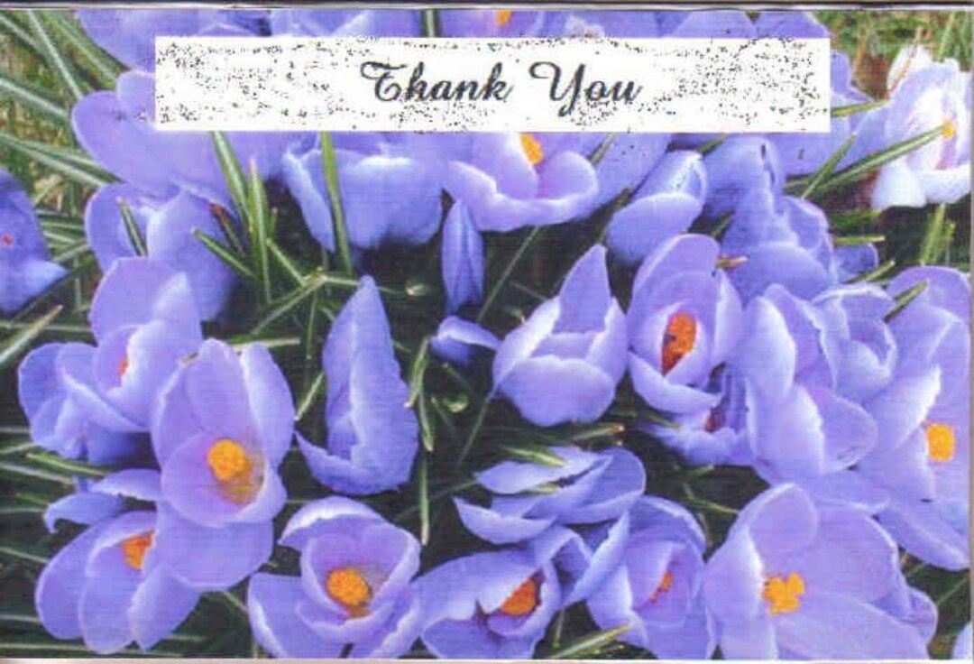 Blue Crocus Thank You Card - Etsy