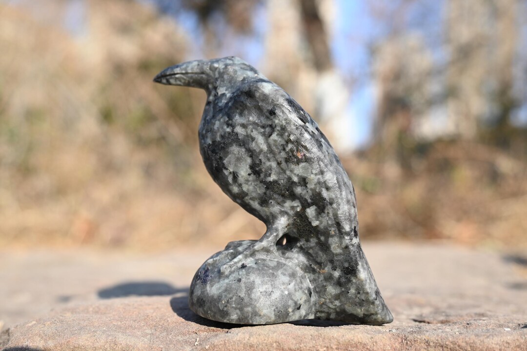 Natural Yooperlite Carved Crow，crystal Carving Crow，crystal Ornament ...