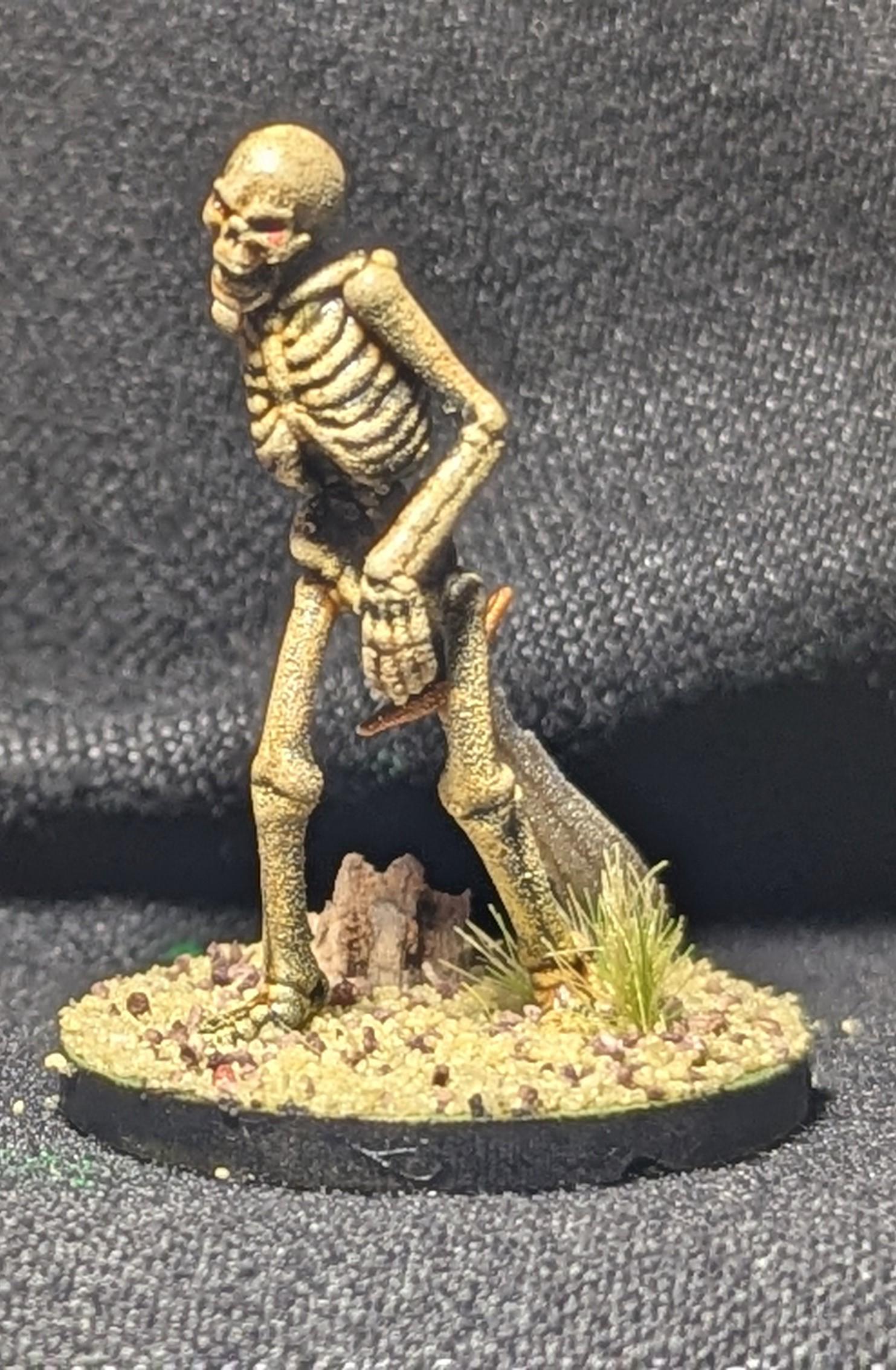 Hand Painted Skeleton Miniature for Dungeons and Dragons/pathfinders ...