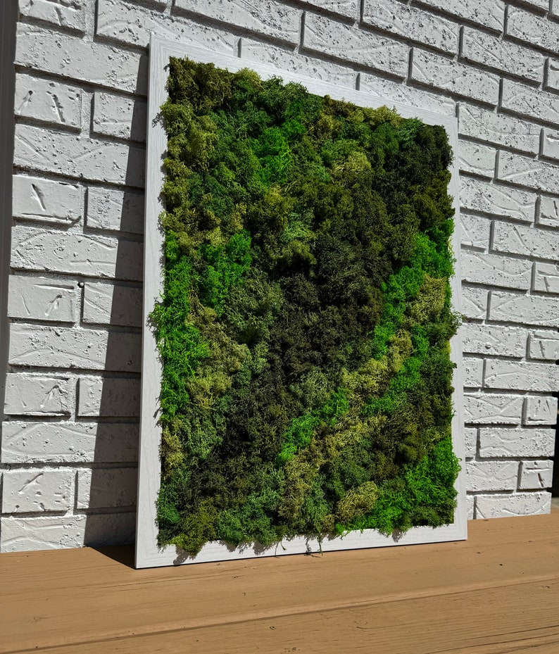 Moss Wall Art. Preserved Moss Framed. Moss Wall Decor. Rectangle Frame ...