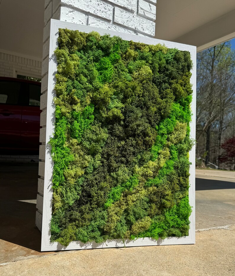 Moss Wall Art. Preserved Moss Framed. Moss Wall Decor. Rectangle Frame ...