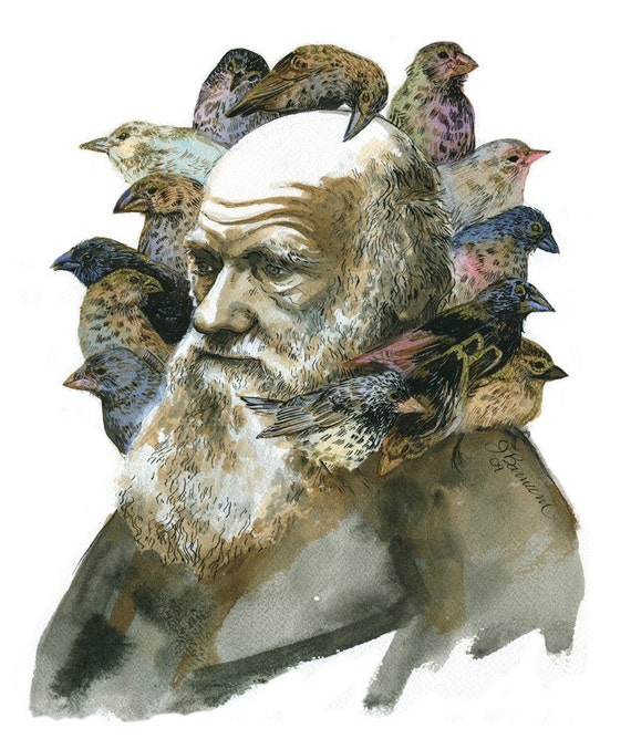 Darwin Portrait