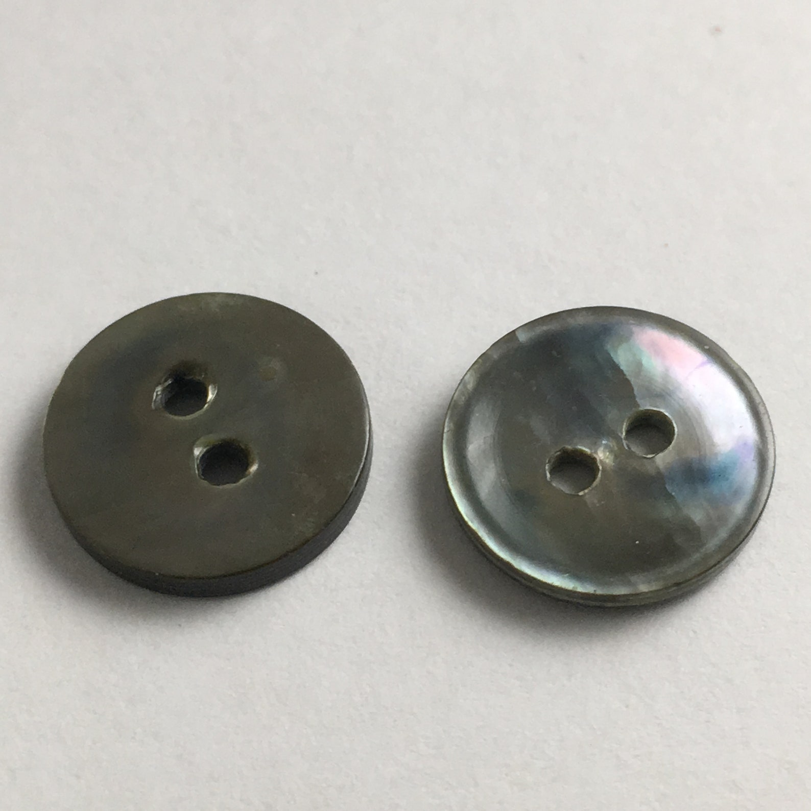 Small Gray Shell Shirt Buttons Set of 20 1/2 in - Etsy