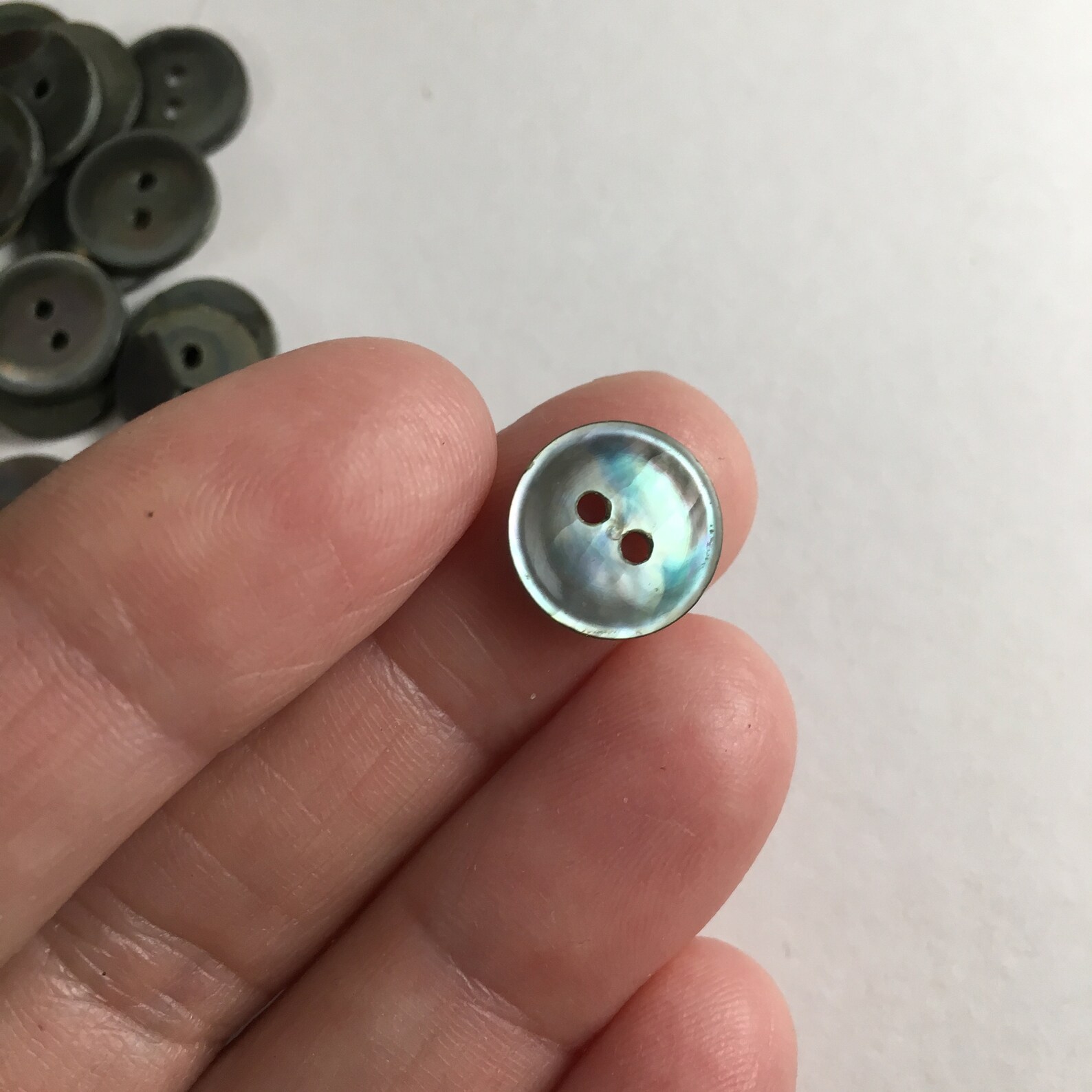 Small Gray Shell Shirt Buttons Set of 20 1/2 in - Etsy