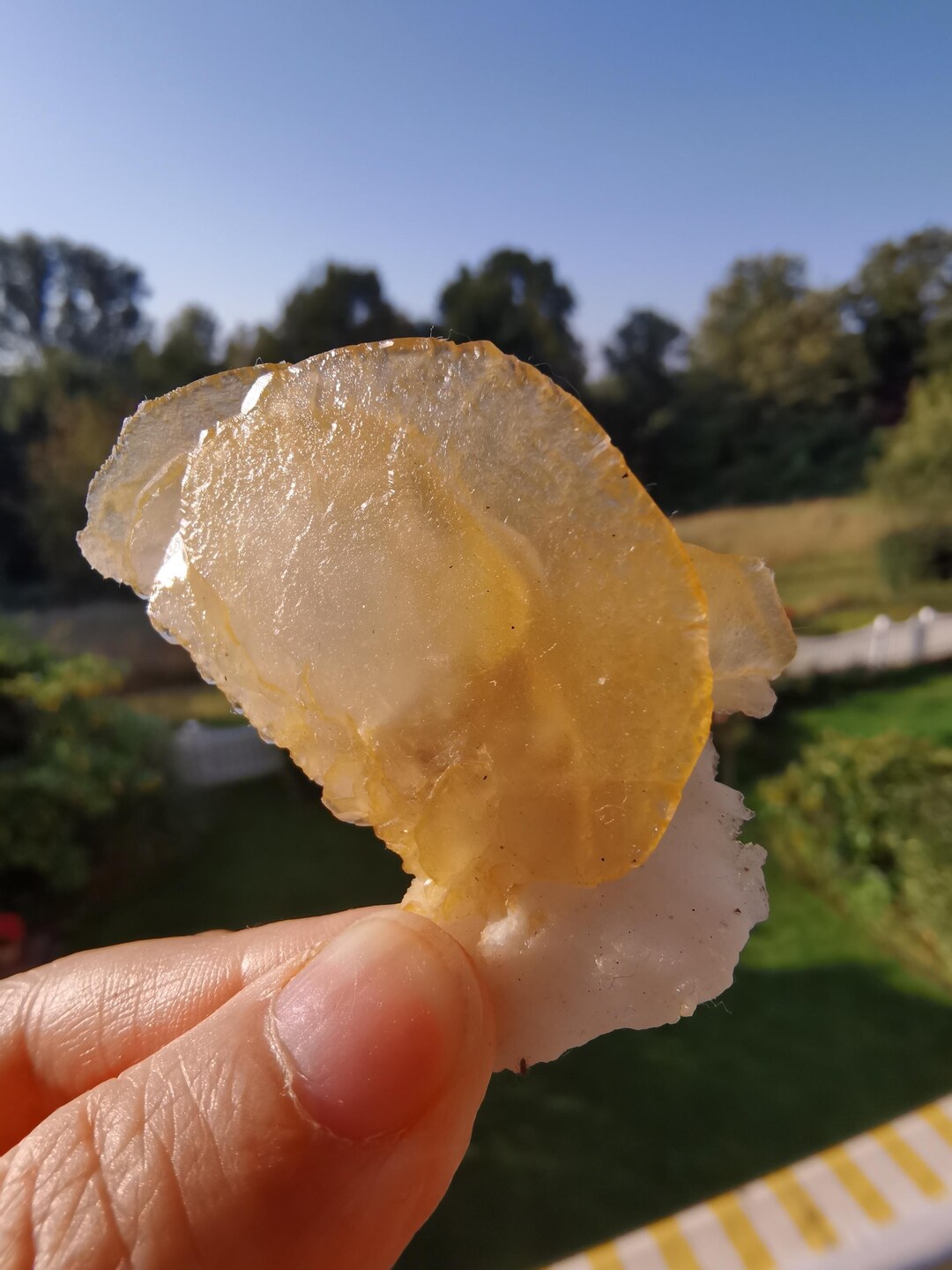 22g Potato Chip Calcite.box Refill - Etsy