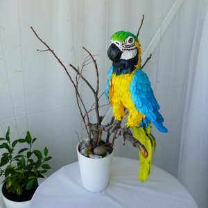 Handmade Paper Blue and Gold Macaw Parrot Bird Figurine Papercraft ...