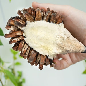 Pinecone Two Hedgehogs Handmade Forest Woodland Creature Art Animal ...