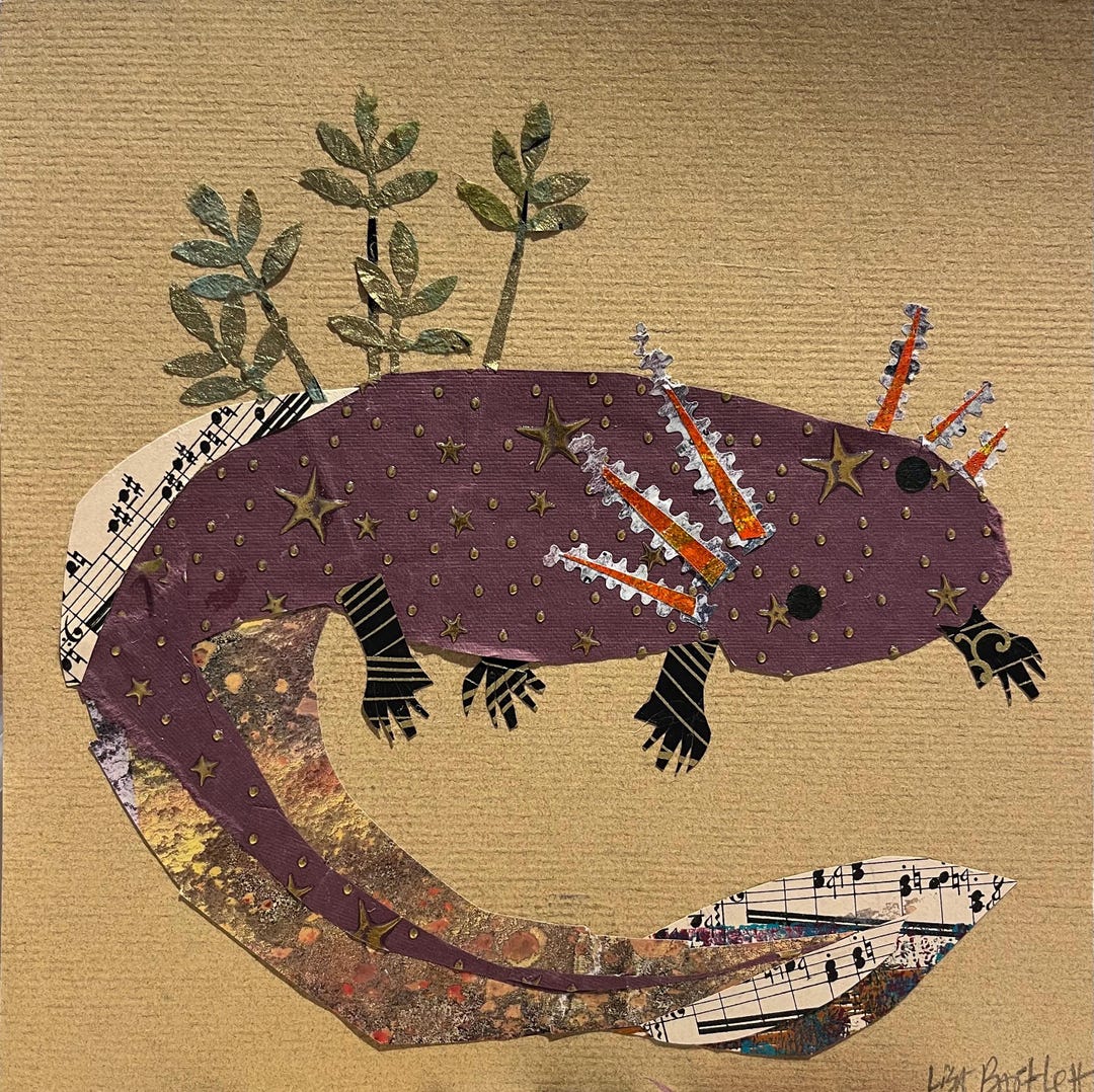 Axolotl the Cutest Salamander! A Collage. 8 X 8” Modern Black Frame ...