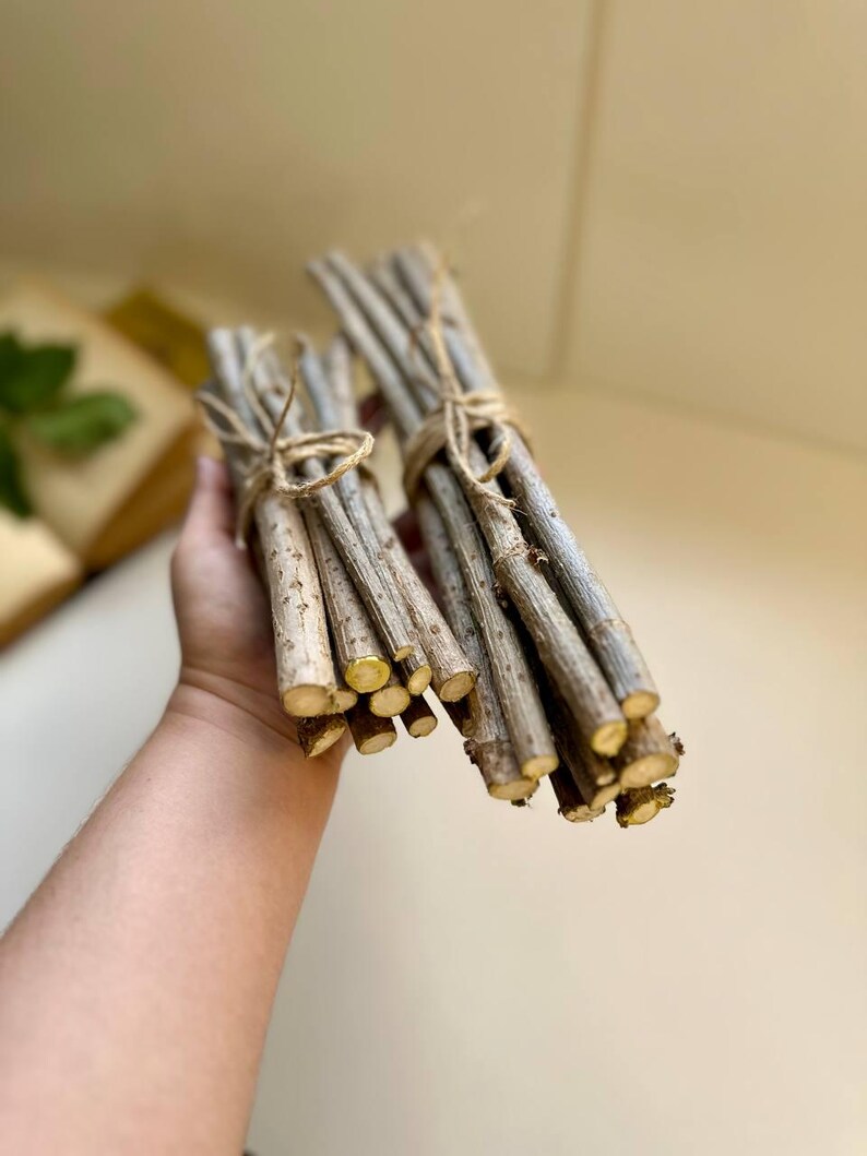 Elderberry Wood Sticks for Crafts, Natural Elder Branches, Rustic Twigs ...