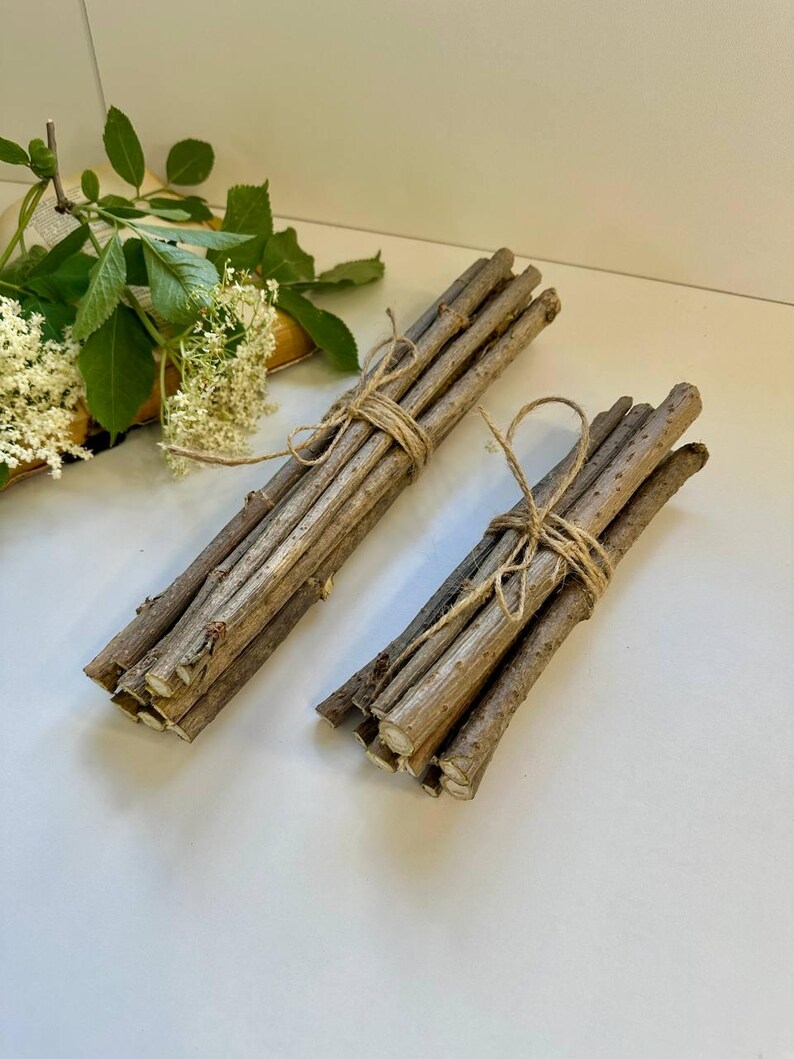 Elderberry Wood Sticks for Crafts, Natural Elder Branches, Rustic Twigs ...