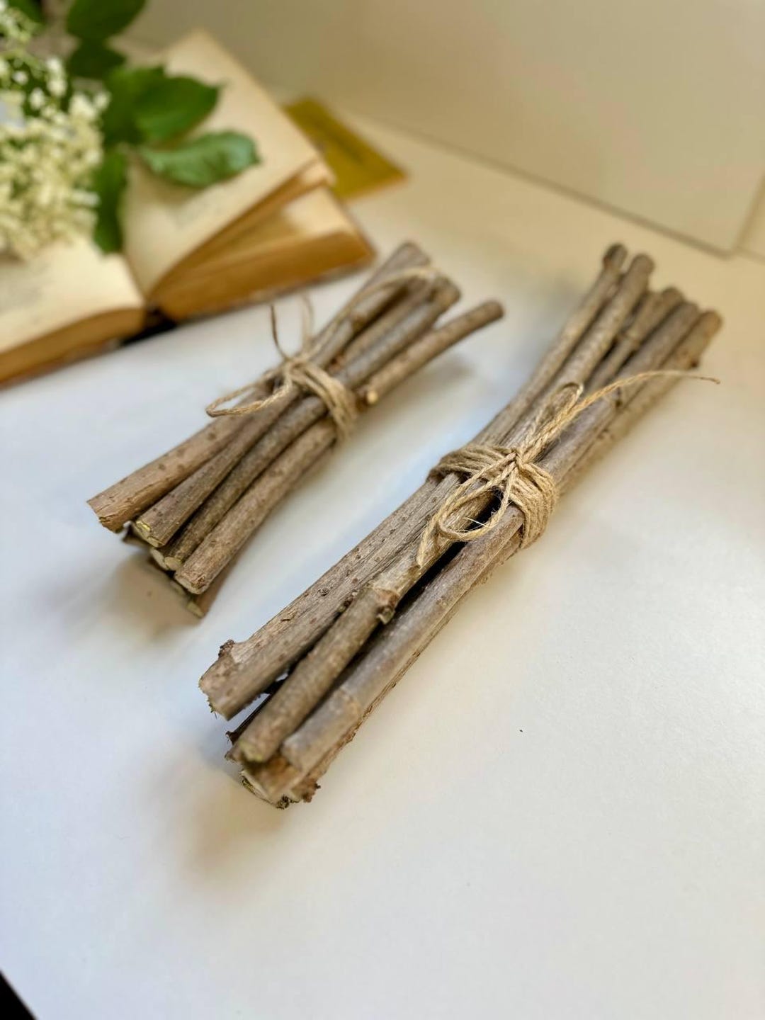 Elderberry Wood Sticks for Crafts, Natural Elder Branches, Rustic Twigs ...