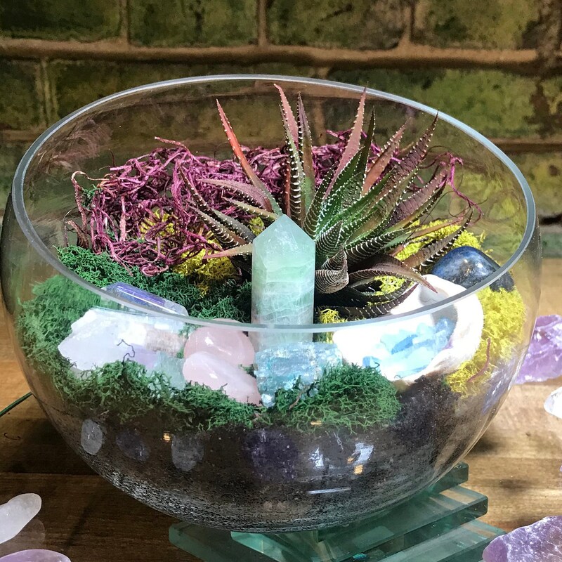 Crystal Garden Terrarium - Etsy