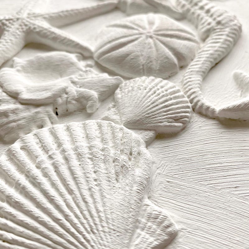 Sea Shell Mold - Etsy