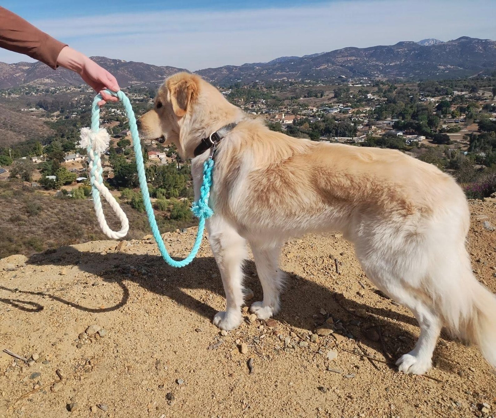 Fushia Cotton Rope Dog Leash American Made Hand Crafted Custom Pet ...