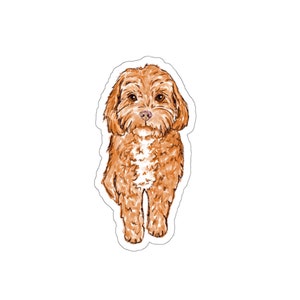 Cavapoo Dog Sticker Original Illustration Planner Pet School - Etsy