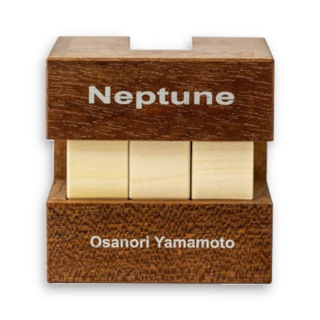 Neptune Wood Puzzle. IQ Logic Puzzles, Brain Teasers, Pelikan Puzzles ...