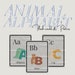 Animal Alphabet Posters, Abc Posters, Modern Classroom Decor, Boho ...