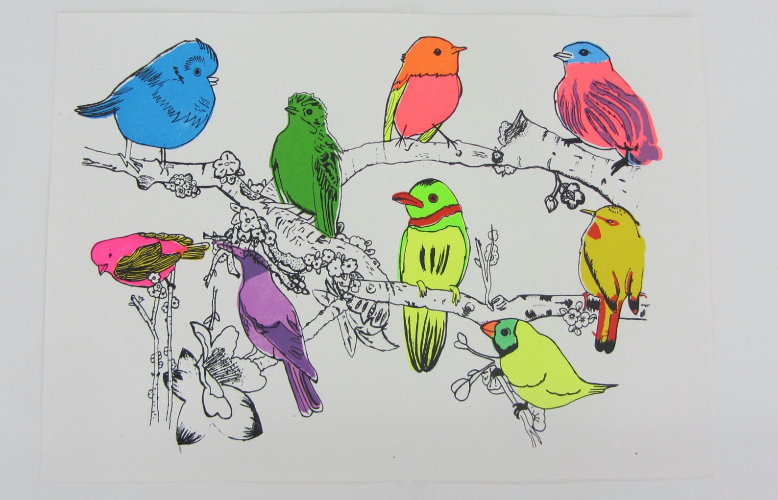 Joy Birds - Etsy