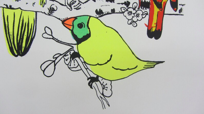 Joy Birds - Etsy