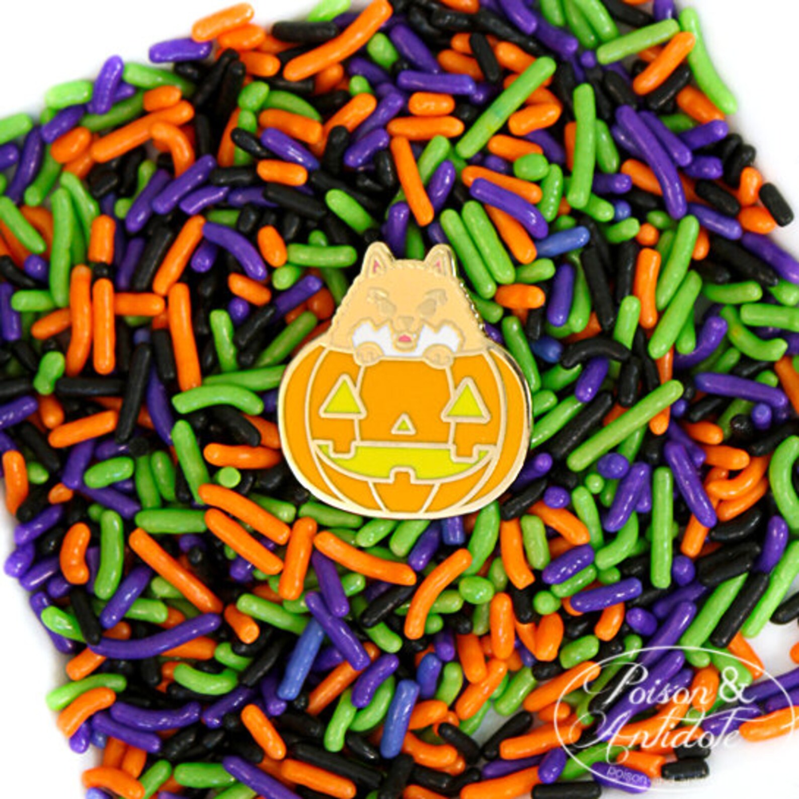 Great Pom-kin - 1-inch Hard Enamel Pin - Halloween Dog in Pumpkin ...