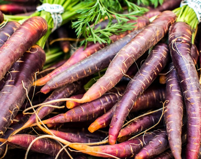 Heirloom Rainbow Carrot Mix Heirloom Organic Seeds - Etsy