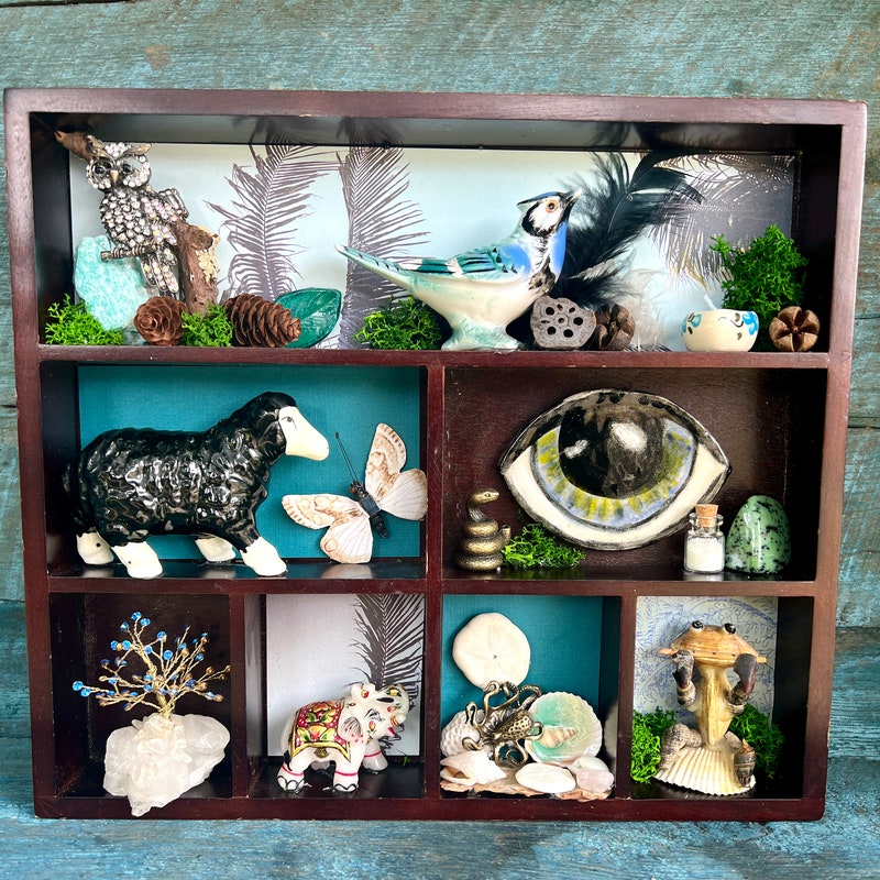 Nature Diorama - Etsy