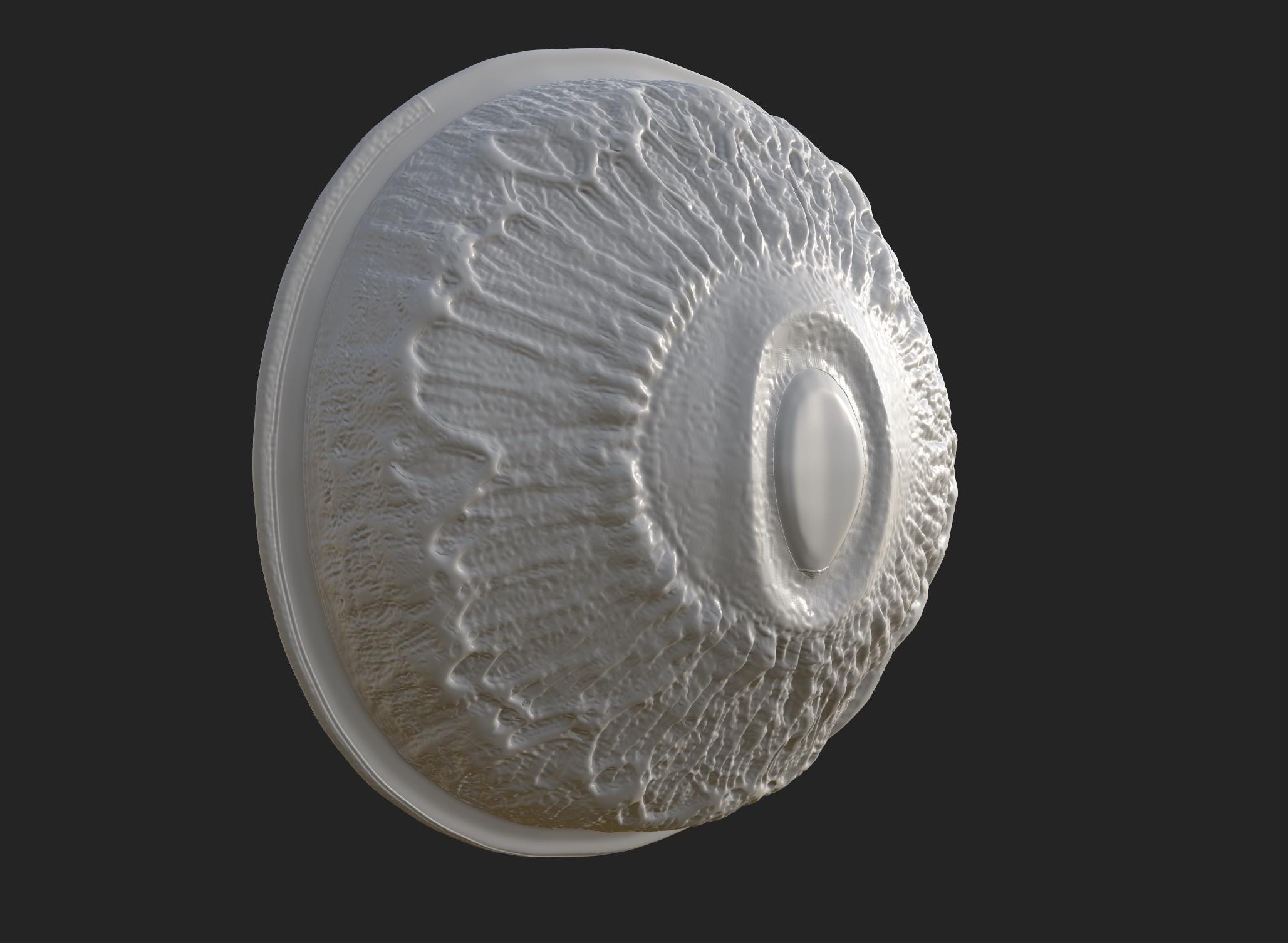 Elden Ring | Rift Shield 3D Model - Etsy