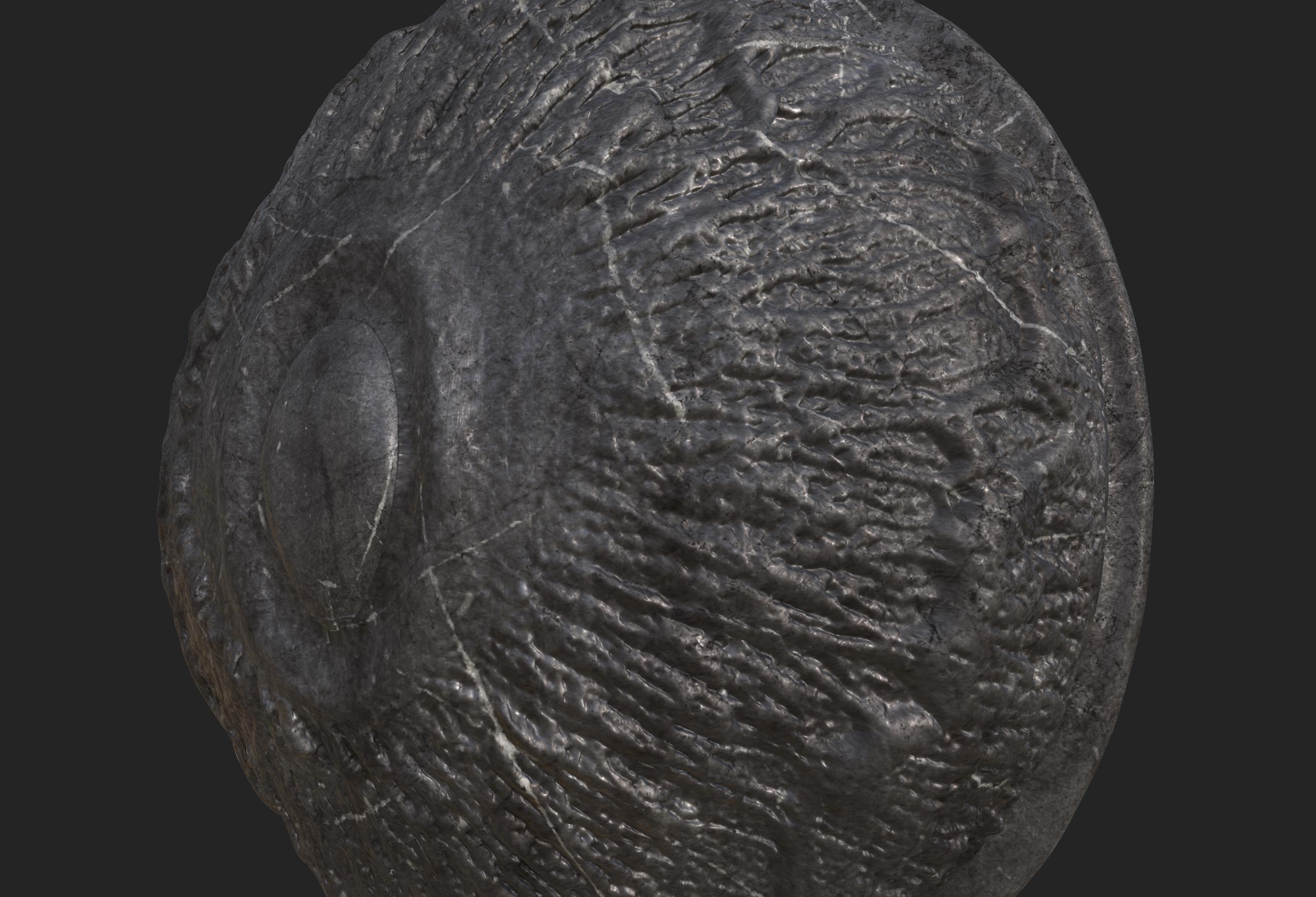 Elden Ring | Rift Shield 3D Model - Etsy