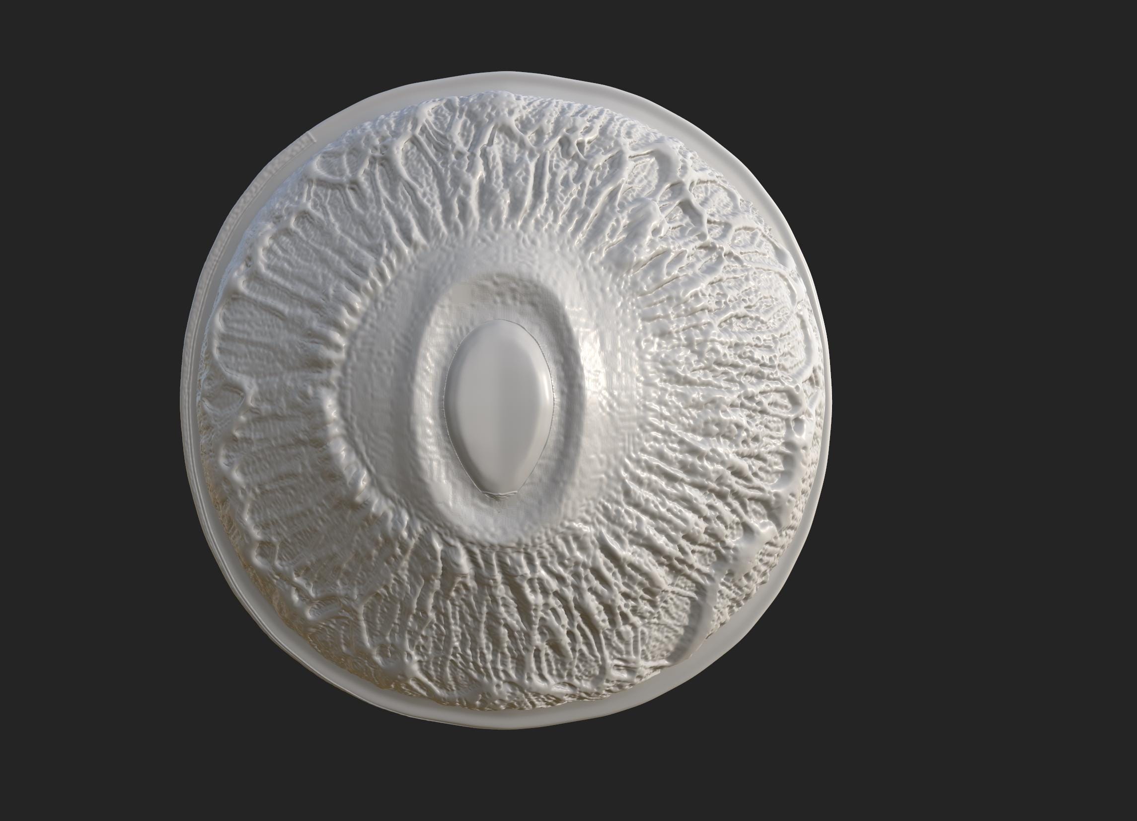 Elden Ring | Rift Shield 3D Model - Etsy