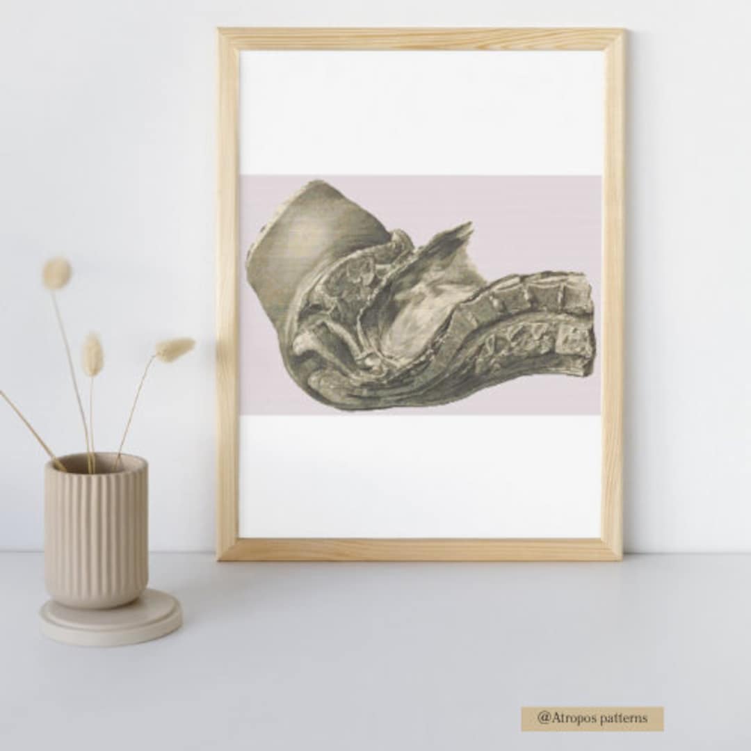 Uterine Cross Section Cross Stitch Pattern, Embroidery Pattern, Anatomy ...