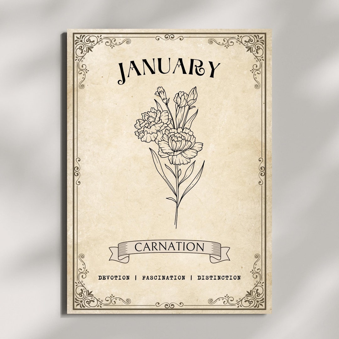 Vintage January Birth Flower Printable - Carnation Digital Wall Art ...