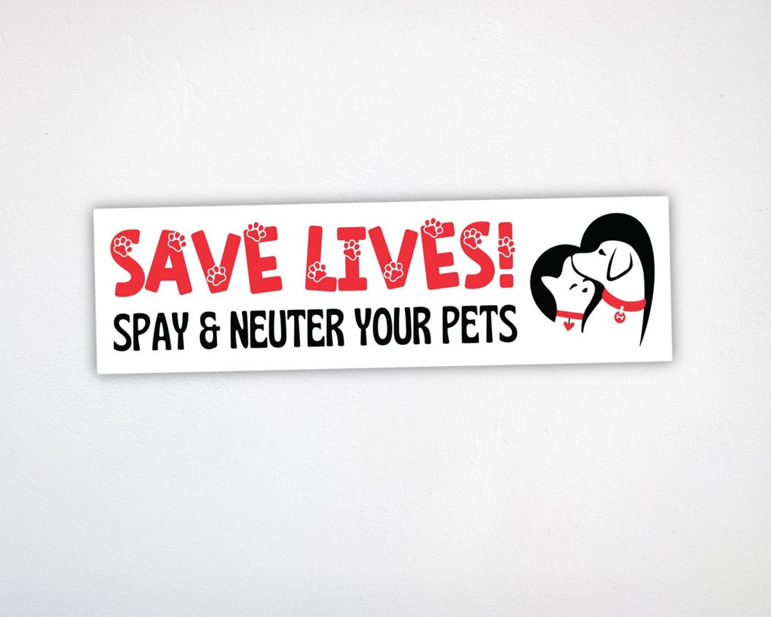 Spay Neuter Save Lives Bumper Sticker, Environmental Bumper Sticker ...