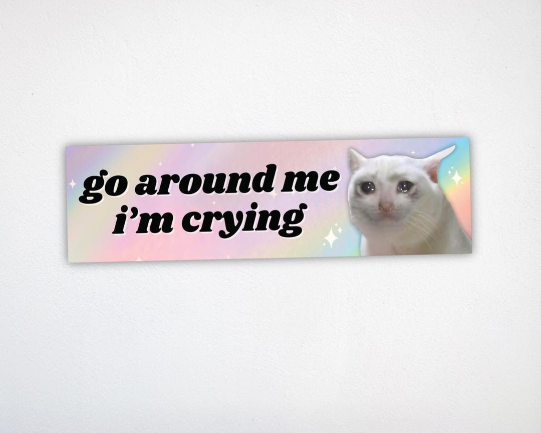 Go Around Bumper Sticker, Crying Cat Bumper Sticker, Tailgating Bumper ...