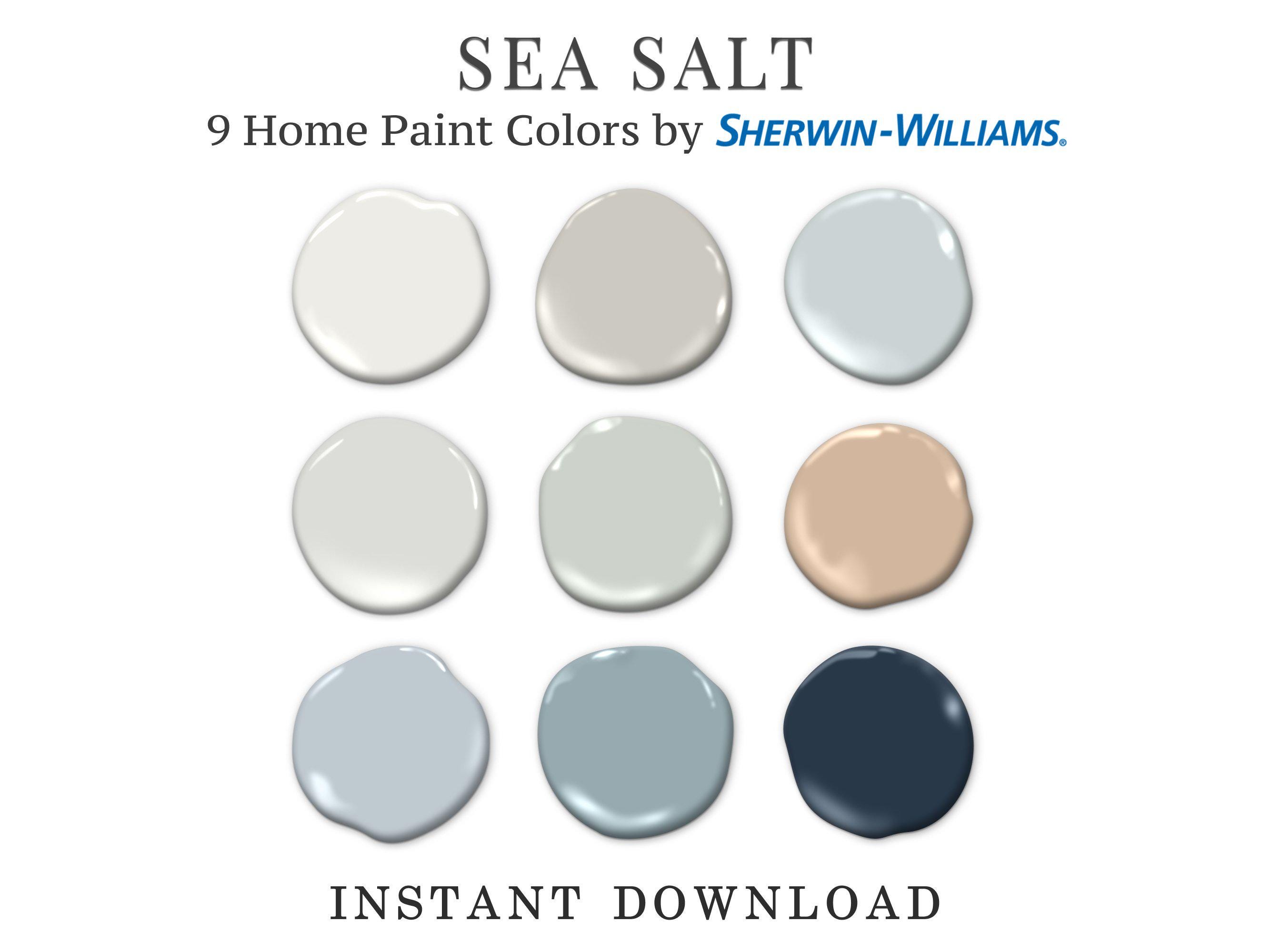 Sea Salt Home Paint Palette, Sherwin Williams 2025 Inspired, Whole ...
