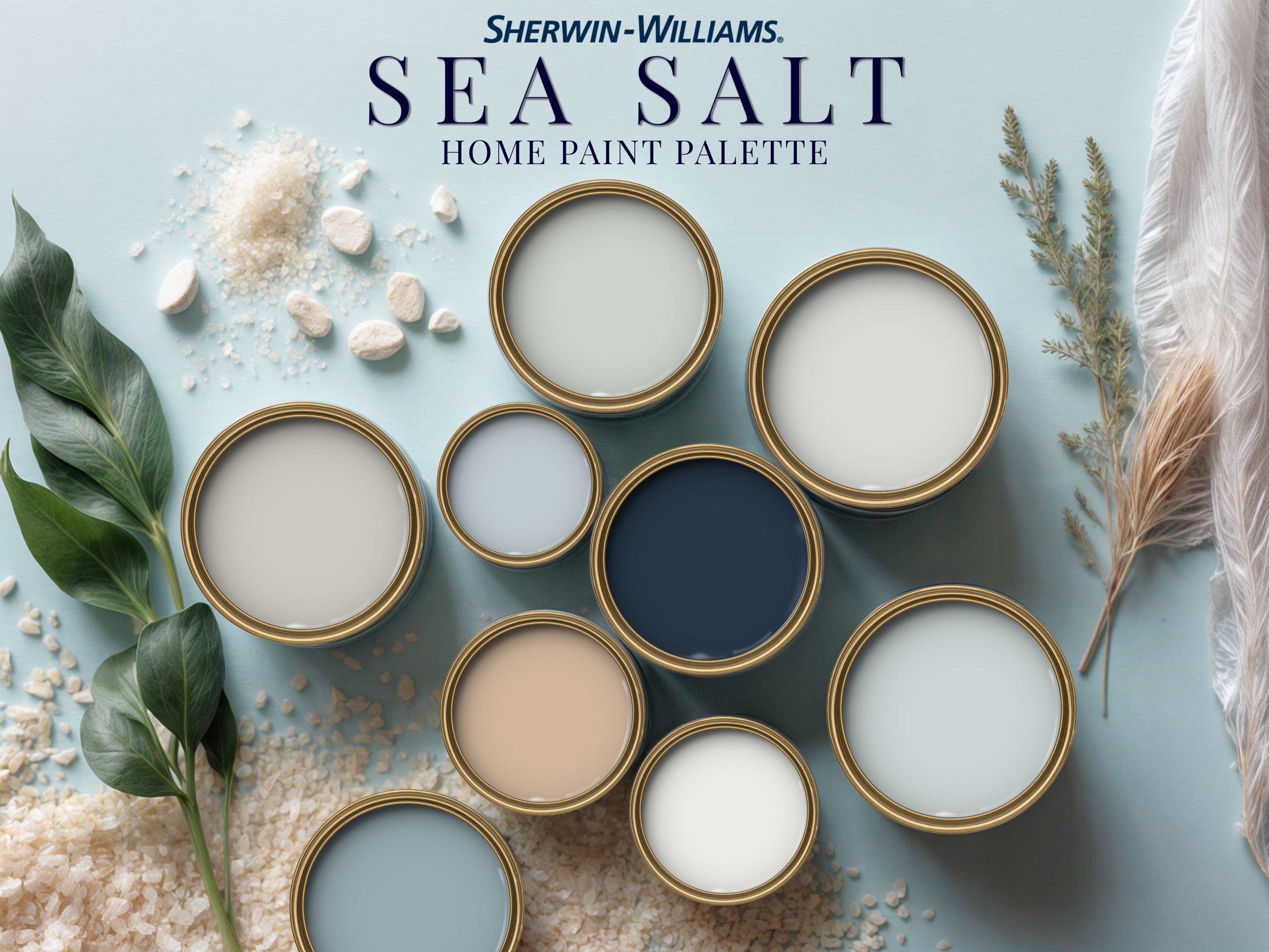 Sea Salt Home Paint Palette, Sherwin Williams 2024 Inspired, Whole House Color Scheme, Trendy ...
