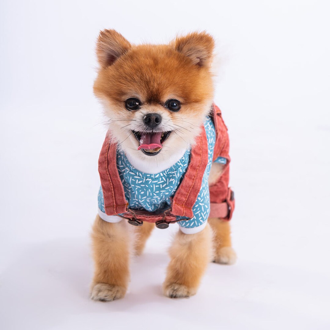 Dog Denim Salopette - Etsy