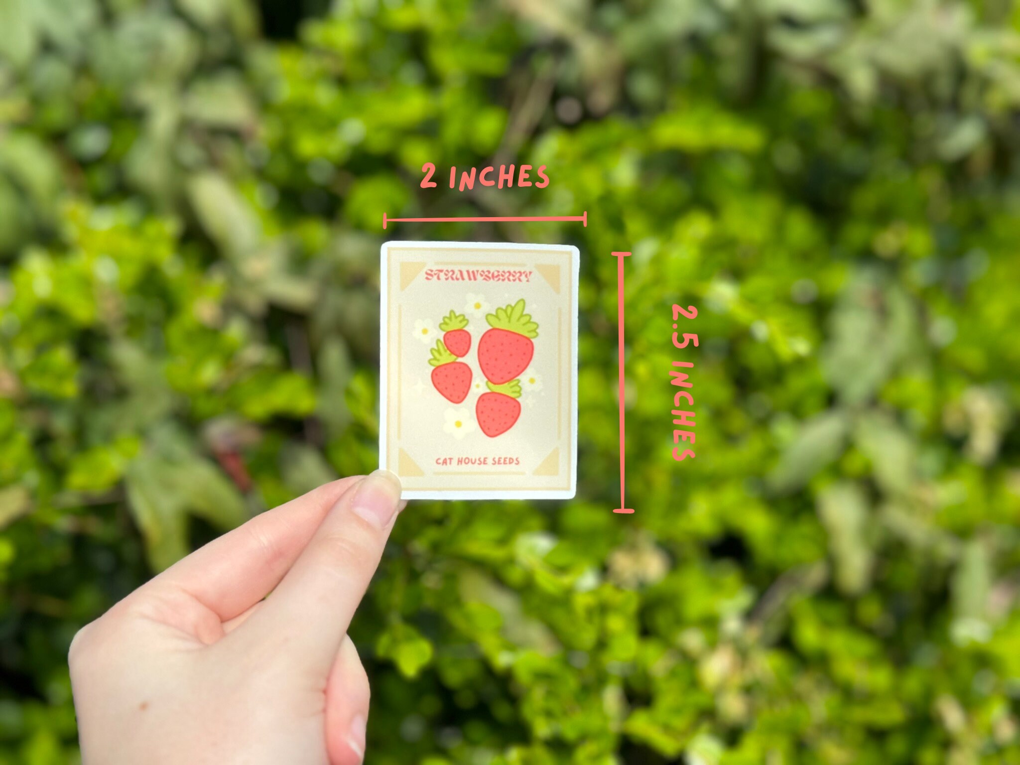 Strawberry Seed Packet Sticker - Etsy