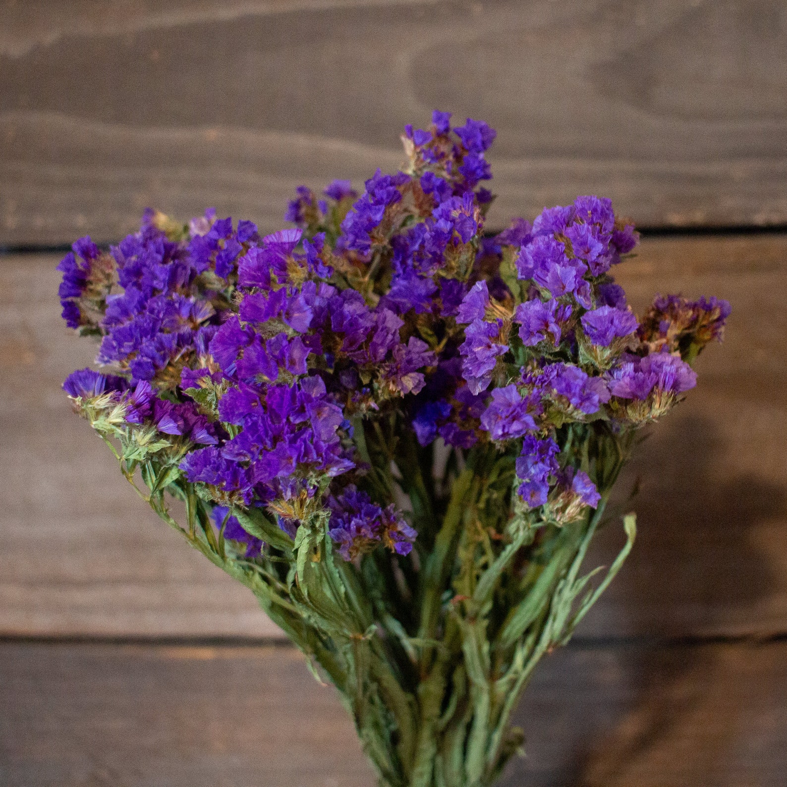 Purple Statice Bunched Dried Flowers | Certified Organic by Lovin' Mama ...