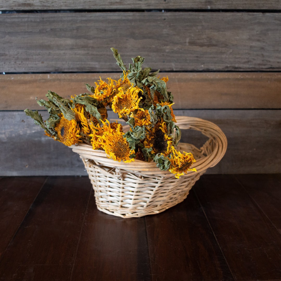 Dried Sunflower Bunches | Dried Flowers | Certified Organic by Lovin ...