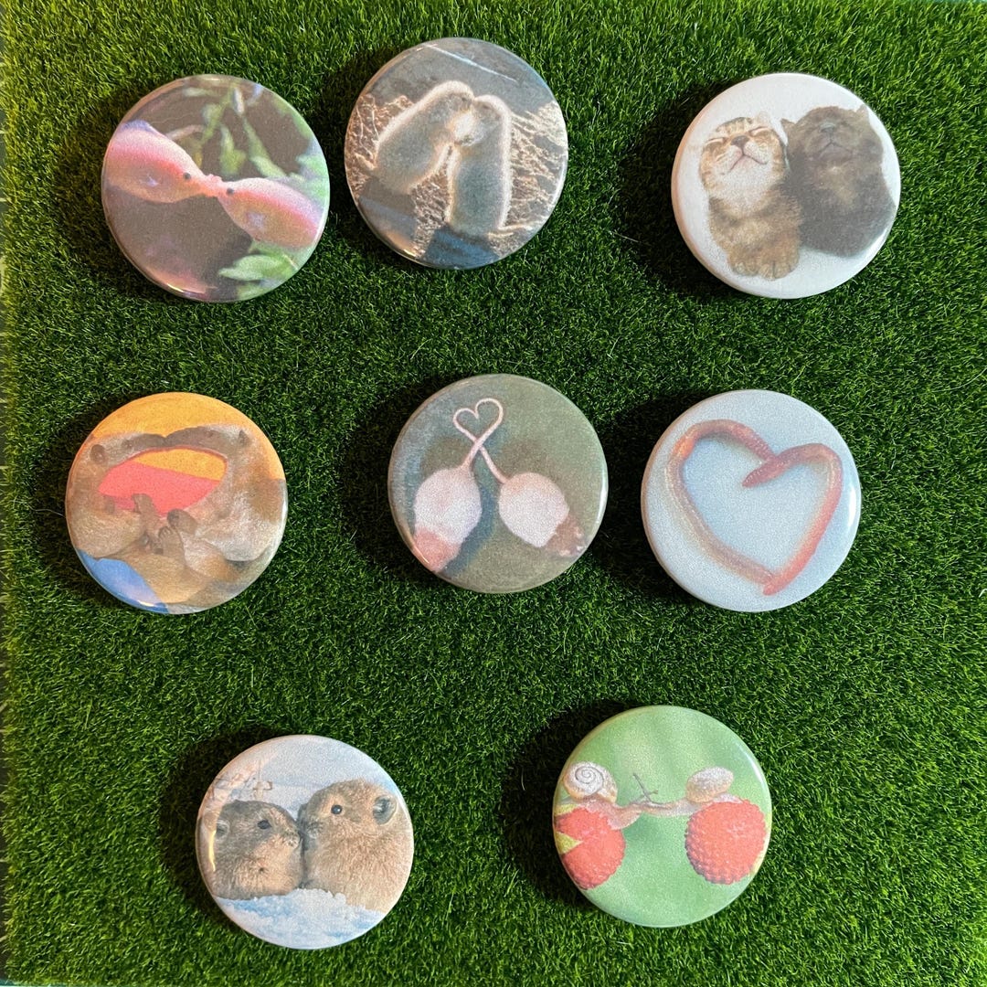 Animals in Love | Silly Funny Animal Pin Buttons for Valentine’s Day - Etsy